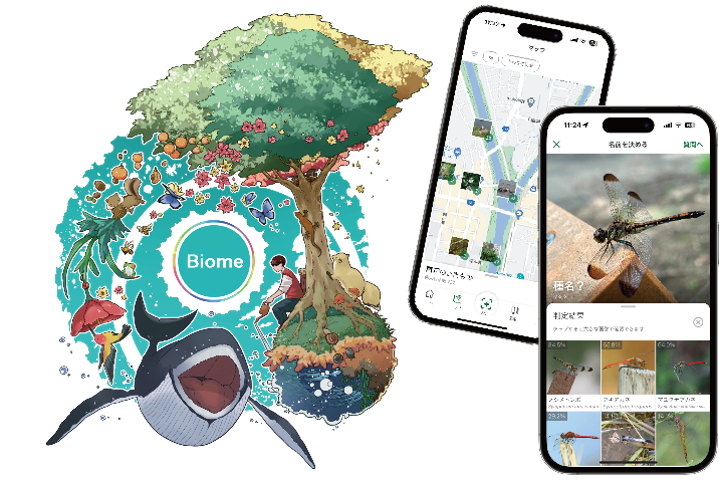 Sustainable Conservation of Biological Resources｜Sustainability｜Coca ...